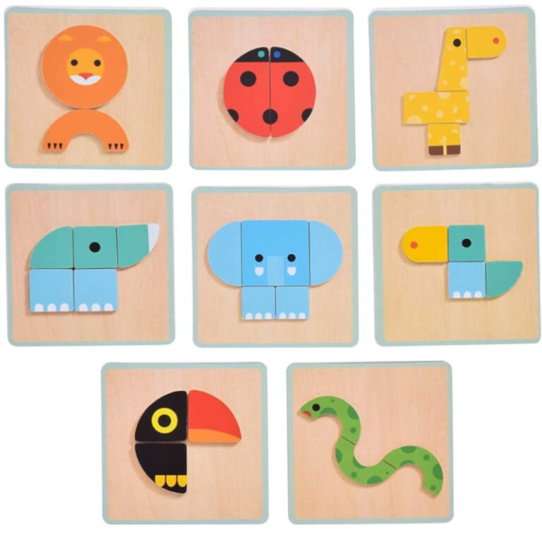 Magnetmäng "GeoBasic" - Taibutera